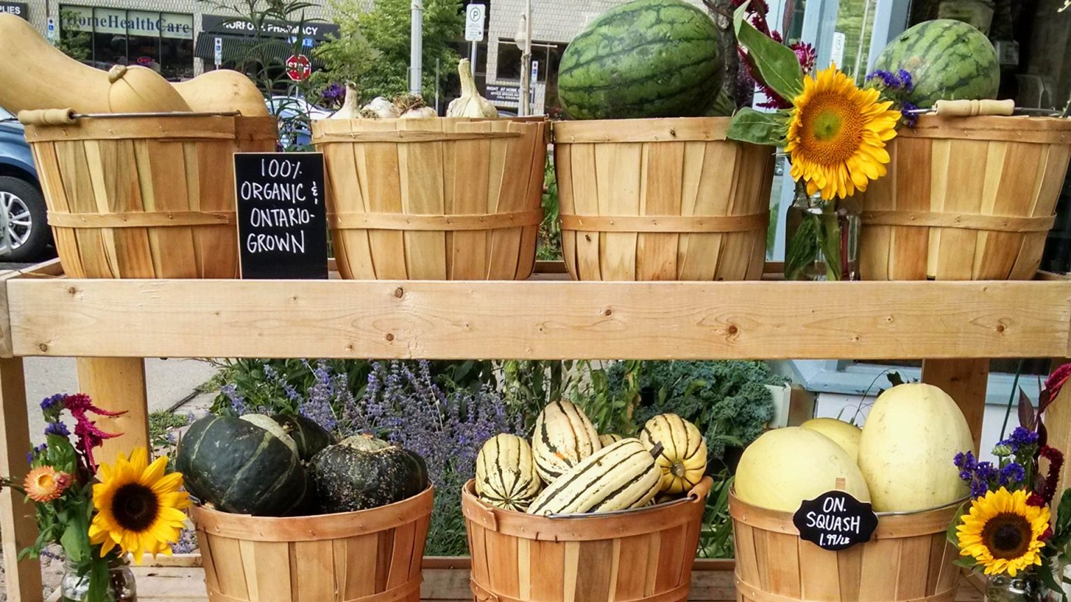 Retail Point of Sale Software in Canada | ACCEO Smart Vendor